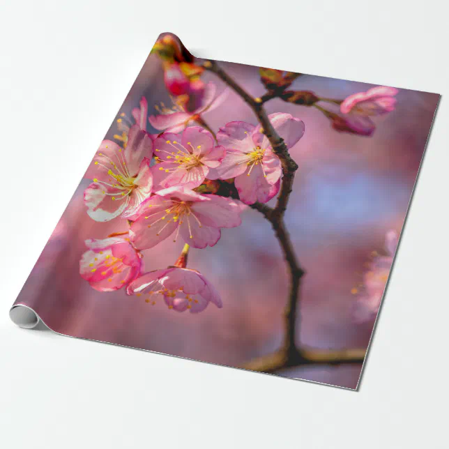 Cool Sakura Flowers On A Cherry Tree Wrapping Paper | Zazzle