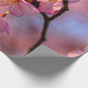 Cool Sakura Flowers On A Cherry Tree Wrapping Paper | Zazzle