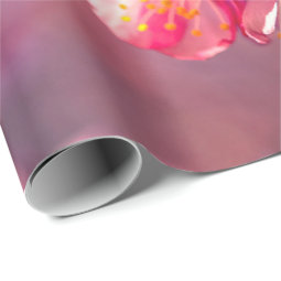 Cool Sakura Flowers On A Cherry Tree Wrapping Paper | Zazzle