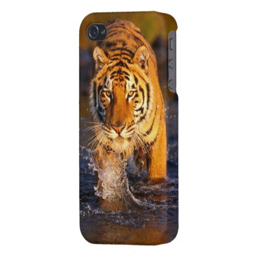 Cool Tiger Phone Case | Zazzle