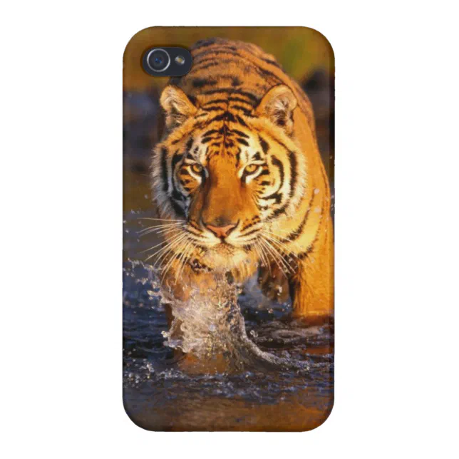 Cool Tiger Phone Case | Zazzle