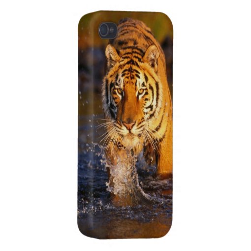 Cool Tiger Phone Case | Zazzle