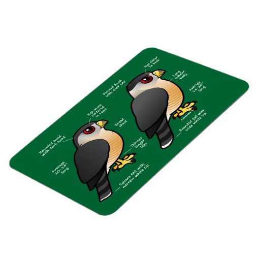 Coop v Sharpie Magnet | Zazzle