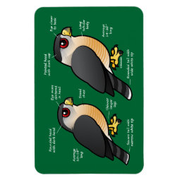 Coop v Sharpie Magnet | Zazzle