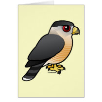 Cooper's Hawk Coloring Page