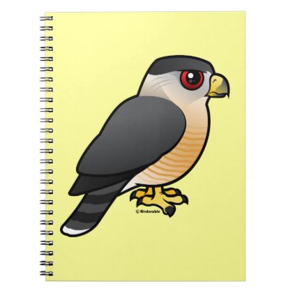 Cooper's Hawk Coloring Page