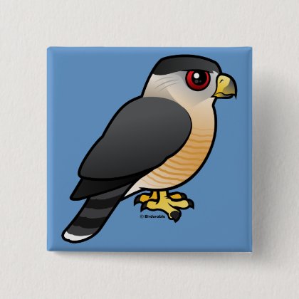 Cooper's Hawk Coloring Page