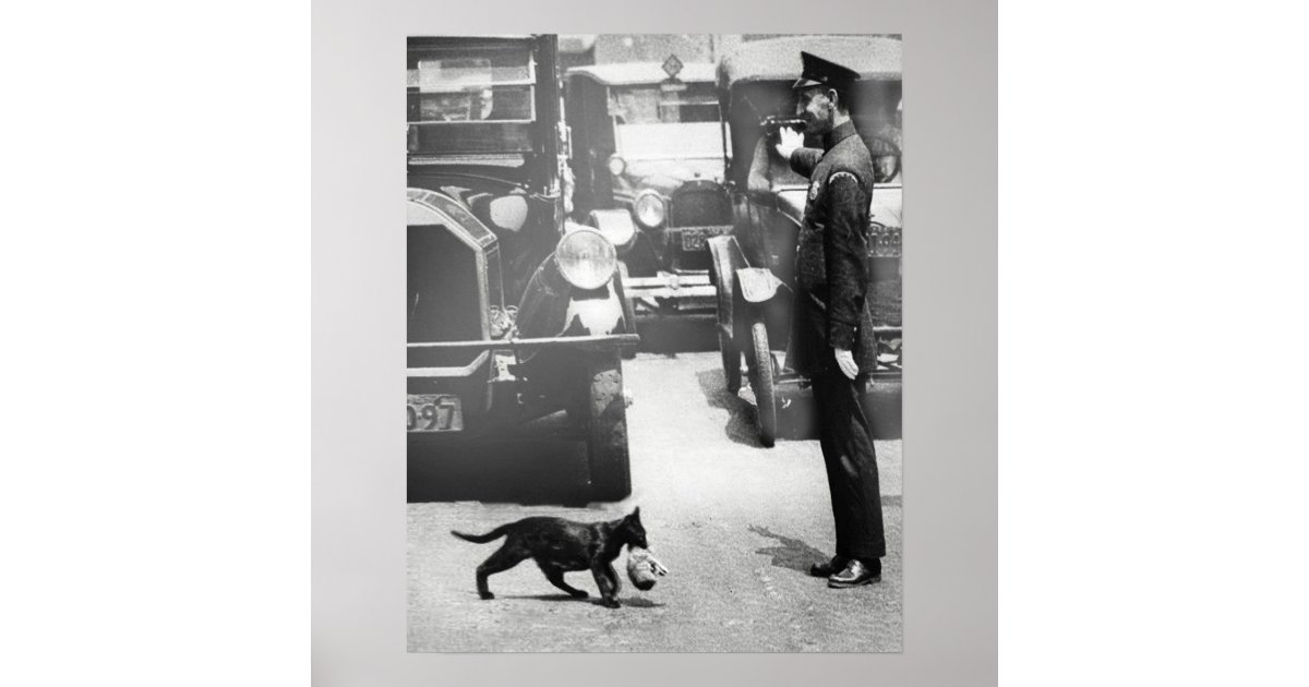 Cop Stops Traffic for Mama Cat Poster | Zazzle