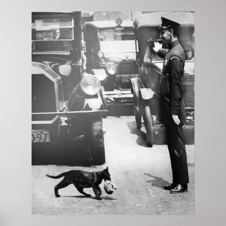 Cop Stops Traffic for Mama Cat Poster | Zazzle