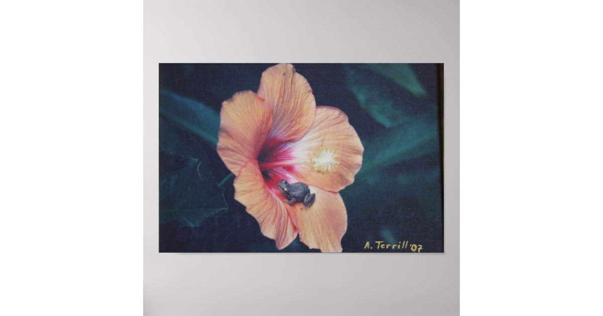 COQUI POSTER | Zazzle