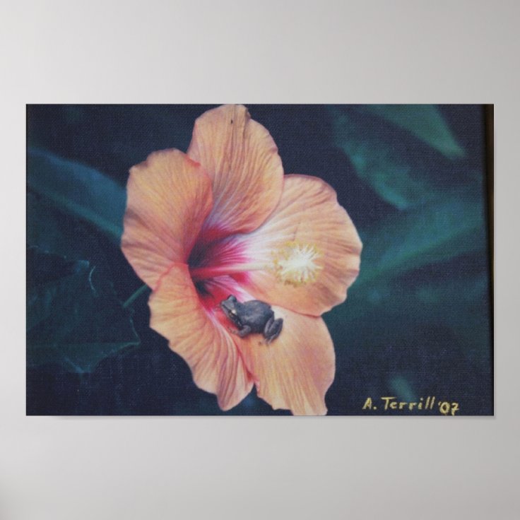 COQUI POSTER | Zazzle