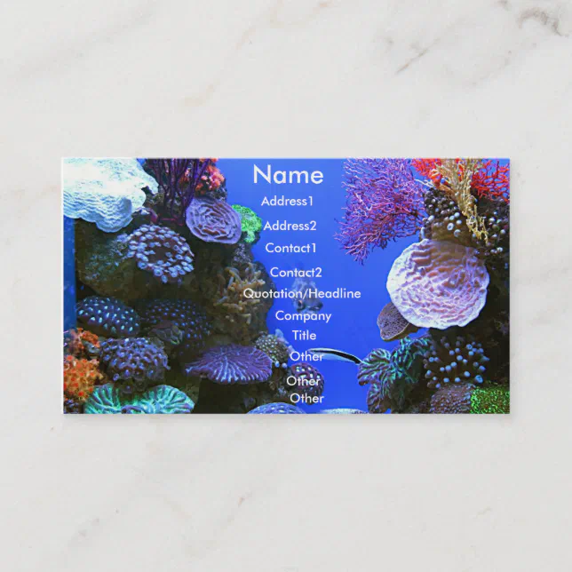Coral Business Card | Zazzle