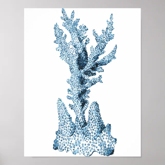 Coral coastal nautical ocean beach sea blue poster | Zazzle