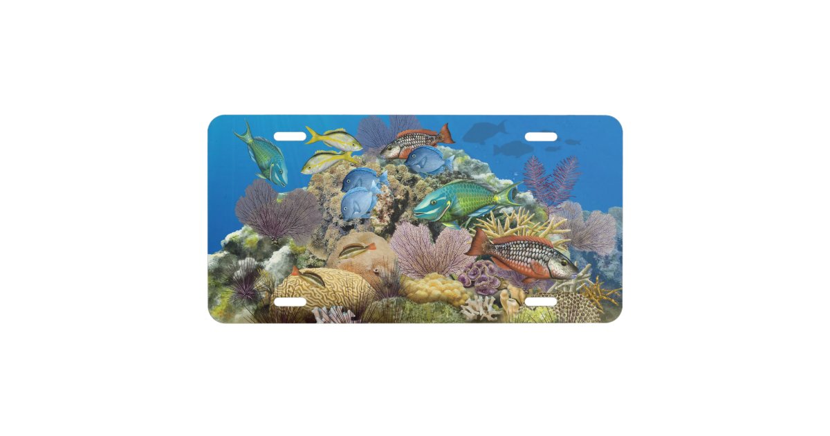 Coral Reef and Reef Fish license Tag License Plate | Zazzle