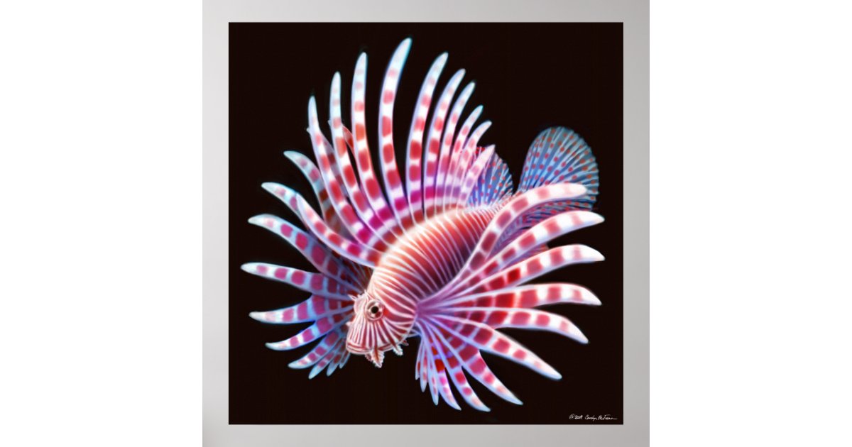 Coral Reef Lionfish Poster | Zazzle