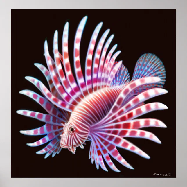 Coral Reef Lionfish Poster | Zazzle