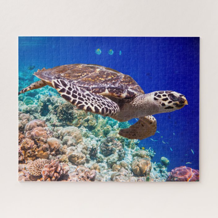 Coral Reef Sea Turtle Jigsaw Puzzle | Zazzle.com