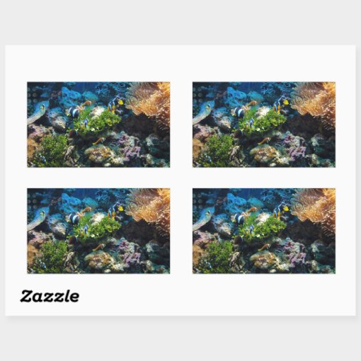 Coral Reef stickers | Zazzle