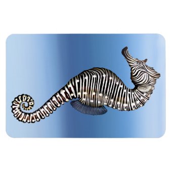 Coral Reef Zebra Sea Horse Premium Flexi Magnet | Zazzle
