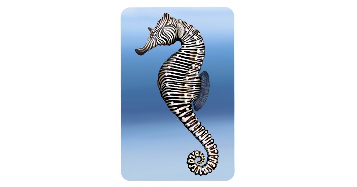 Coral Reef Zebra Sea Horse Premium Flexi Magnet | Zazzle