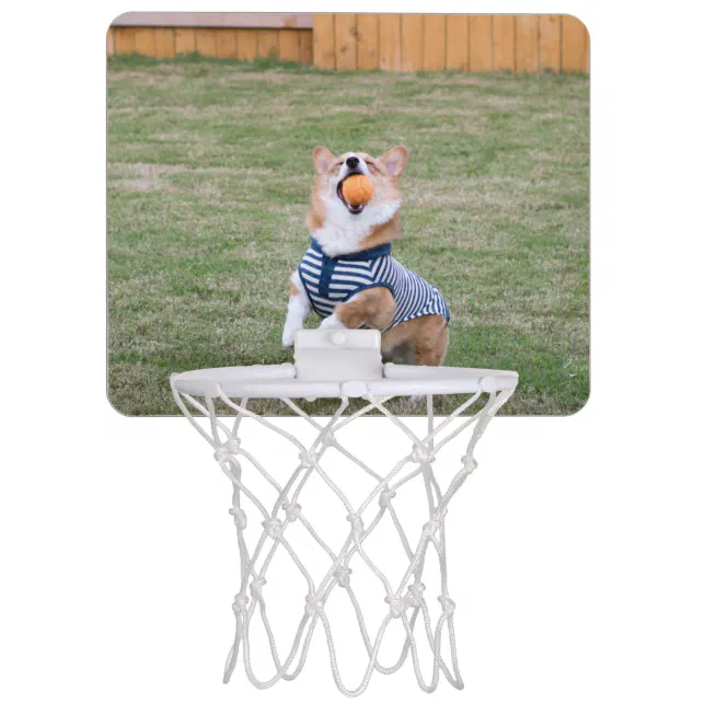 corgi basketball hoop | Zazzle