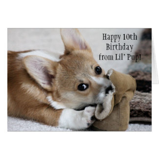 Corgi Birthday Cards - Greeting & Photo Cards | Zazzle