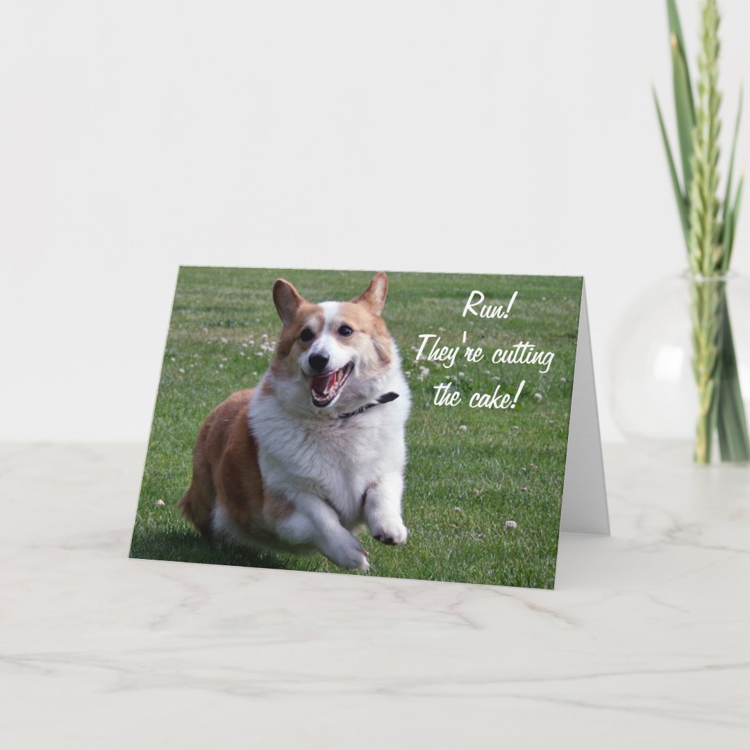 Corgi Card | Zazzle