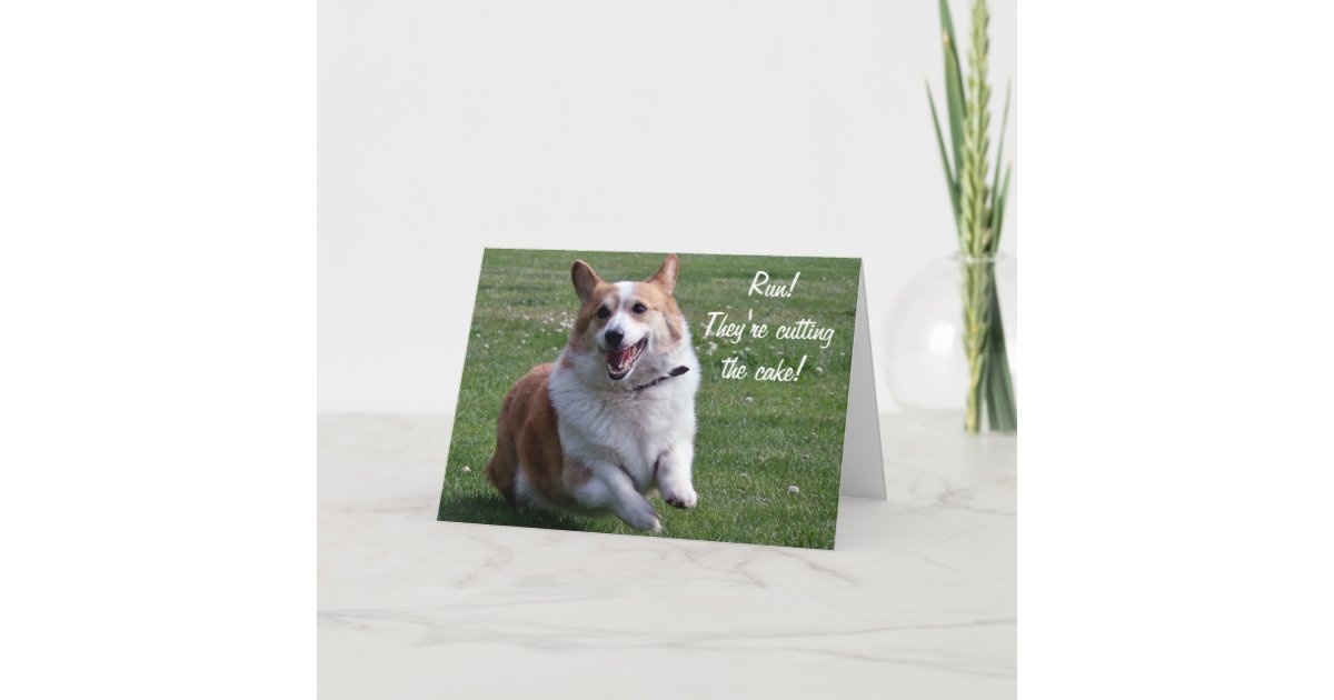 Corgi Card | Zazzle