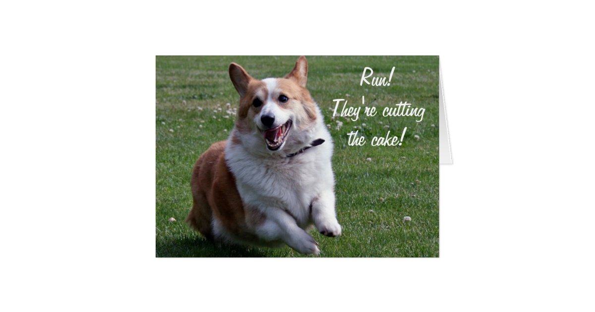 Corgi Card | Zazzle