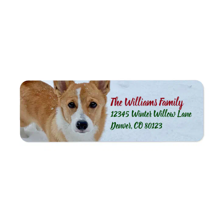 Corgi Christmas Snow Photo Holiday Return Address Label | Zazzle
