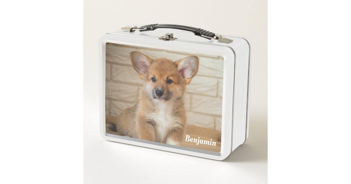 Corgi Dog Metal Lunch Box | Zazzle