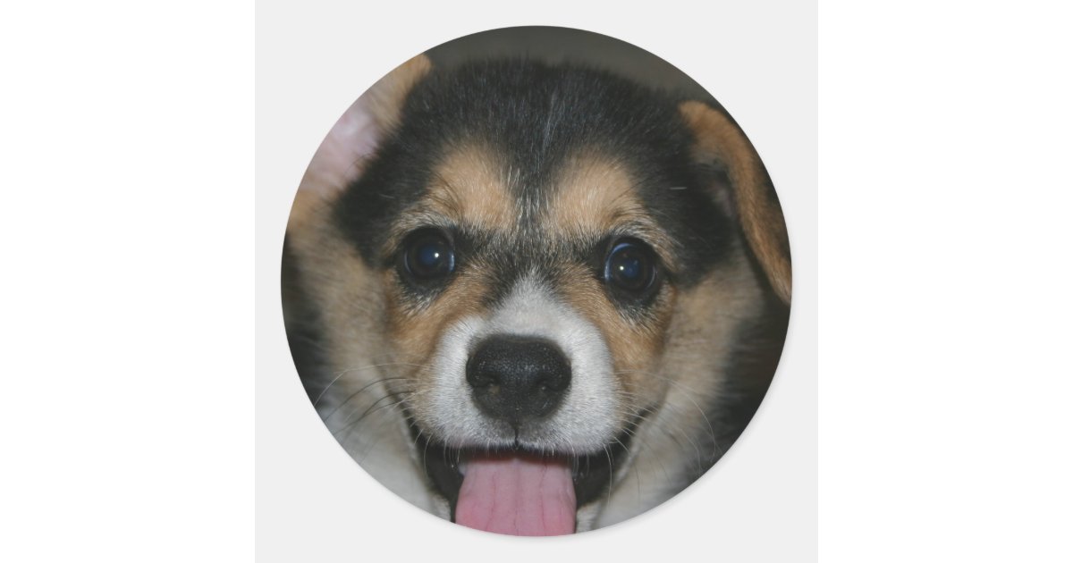 Corgi Dog Sticker | Zazzle