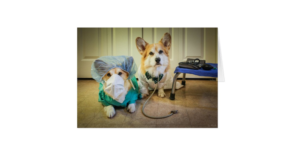 Corgi Dr and nurse Feel Better Soon Card | Zazzle.com