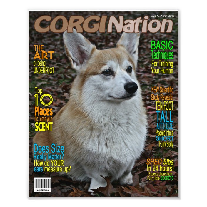 Corgi Nation Magazine (Customizable Print) Photo Print | Zazzle.com