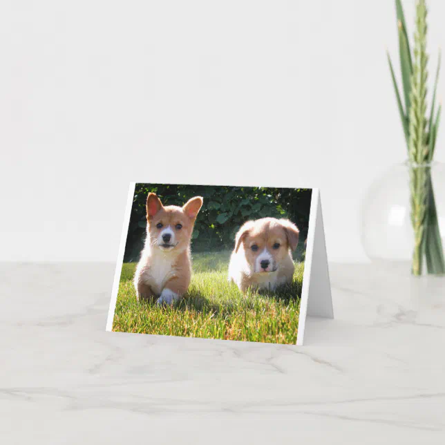 Corgi ( Pembroke ) Puppy Dog Blank Note Card | Zazzle