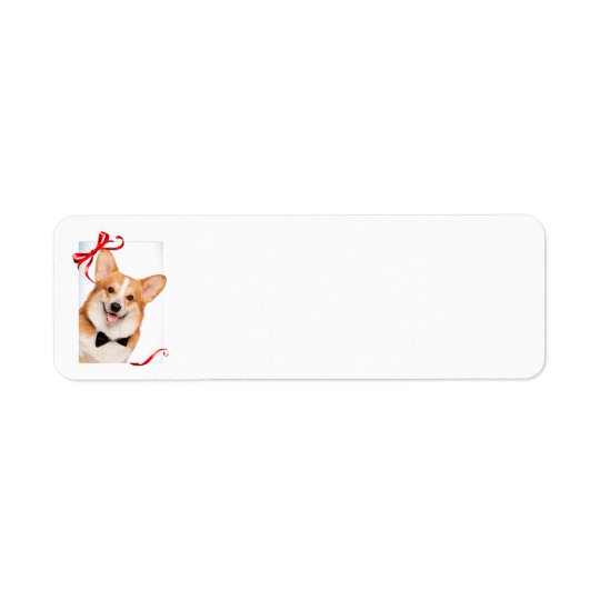 Corgi Return Address Labels | Zazzle.com