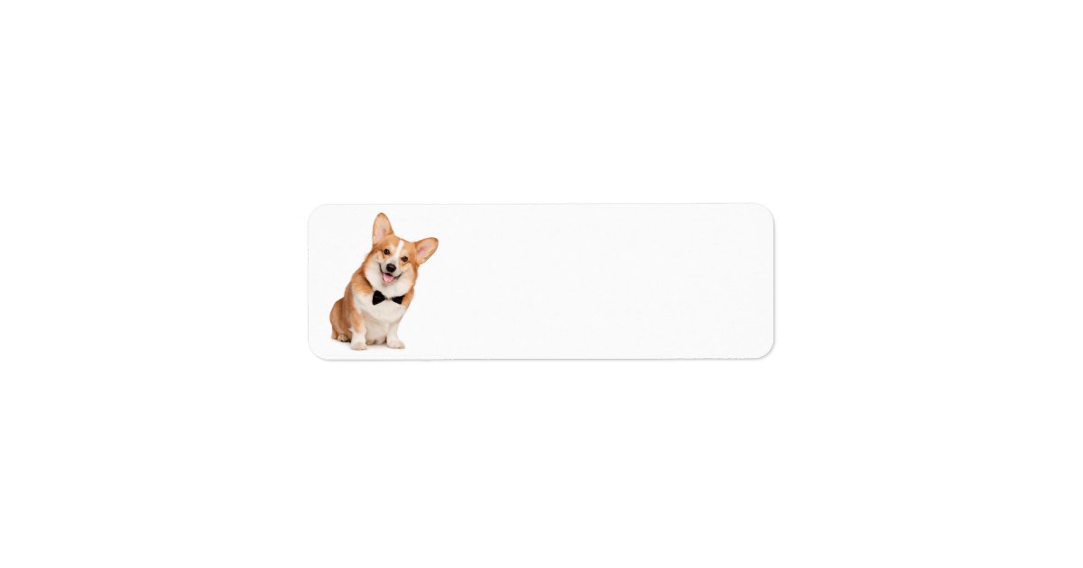 Corgi Return Address Labels | Zazzle