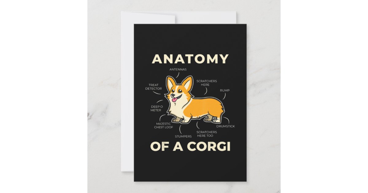 Corgi Thank You Card | Zazzle