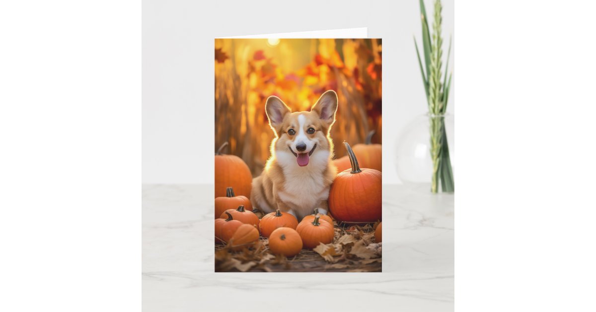 Corgi Thanksgiving Holiday Card | Zazzle