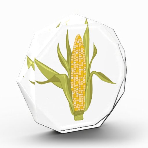Corn Ear Award | Zazzle