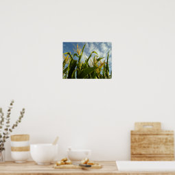 Corn field poster | Zazzle