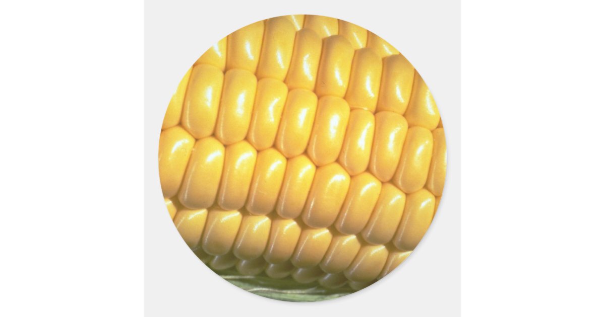 Corn on the cob classic round sticker | Zazzle