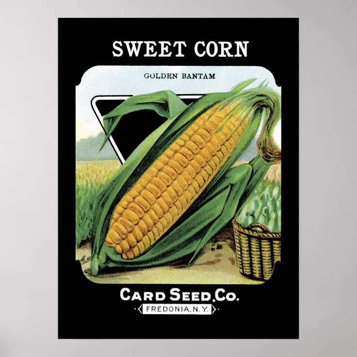 Corn Seed Packet Label Poster | Zazzle