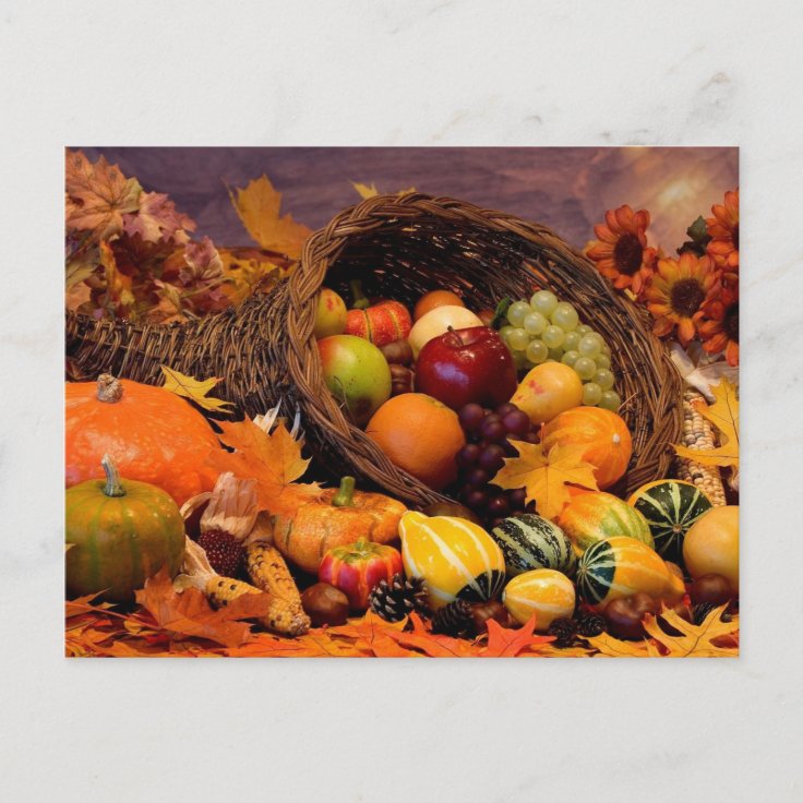 Cornucopia Postcard | Zazzle