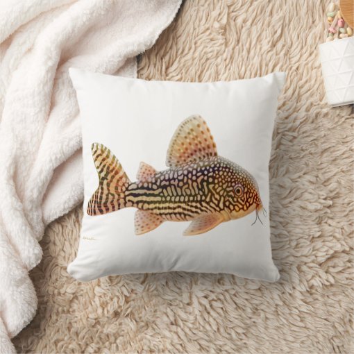 Corydoras Sterbae Catfish Pillow | Zazzle
