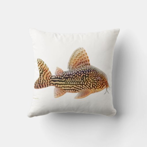 Corydoras Sterbae Catfish Pillow | Zazzle