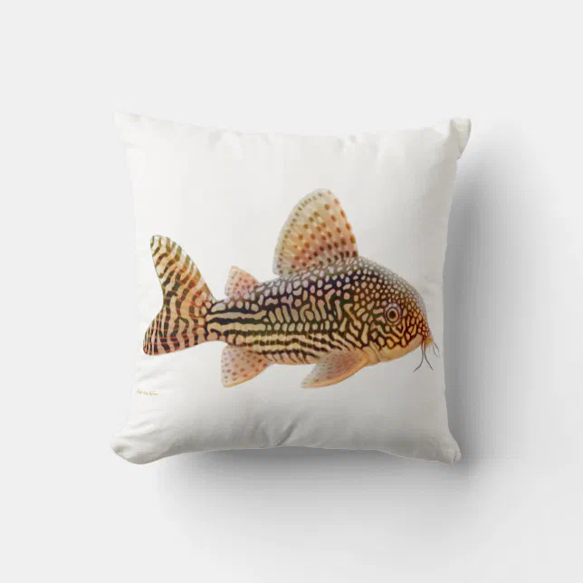 Corydoras Sterbae Catfish Pillow | Zazzle
