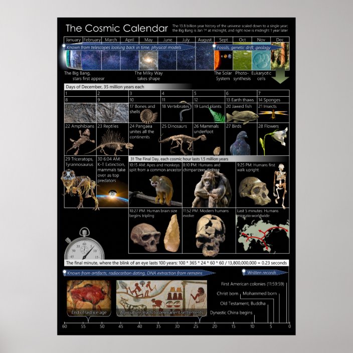 Cosmic Calendar Poster | Zazzle.com