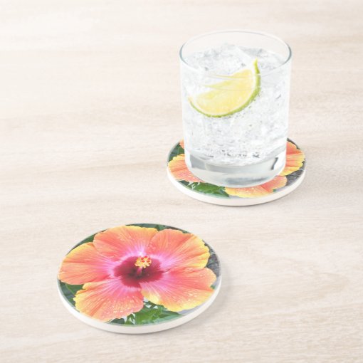 Cosmic Dancer Hibiscus Drink Coaster | Zazzle