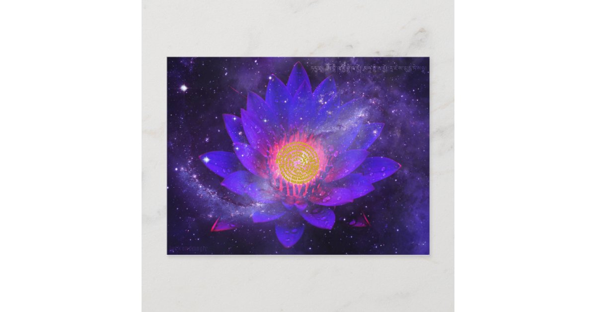 Cosmic Midnight Water Lily Postcard | Zazzle